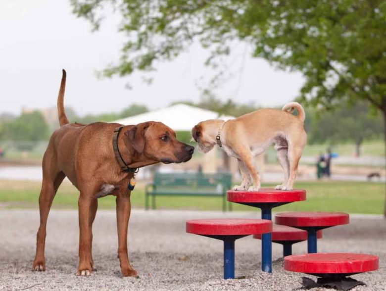 Products – Sudden Fun